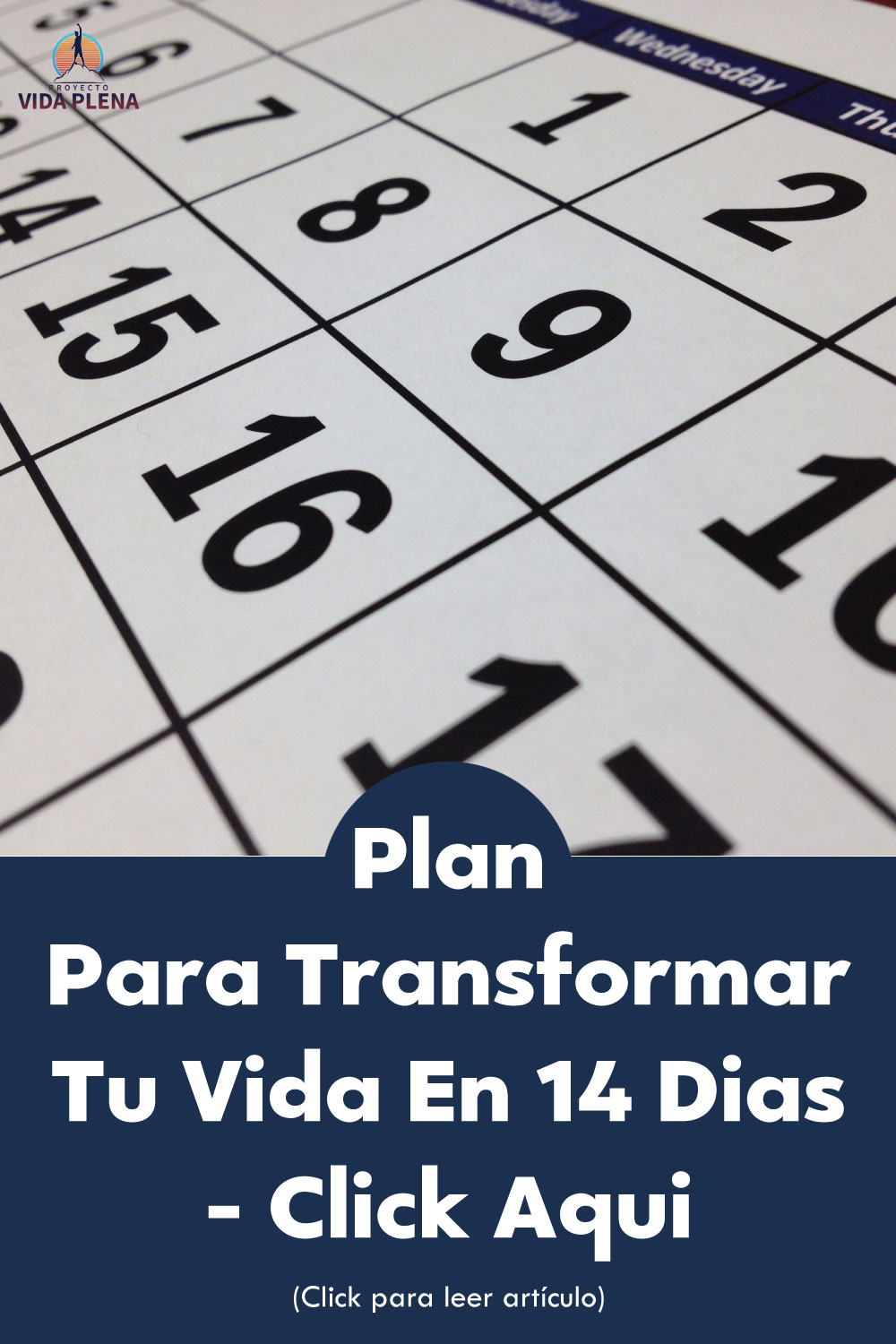 14 Días Para Transformar Tu Vida: Hackea Tu Camino Hacia La Vida Que ...